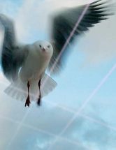 How It Works - Seagull Control SystemsSeagull Control Systems